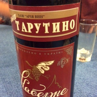 Mayor of Tarutino, playing accordeon in his disco